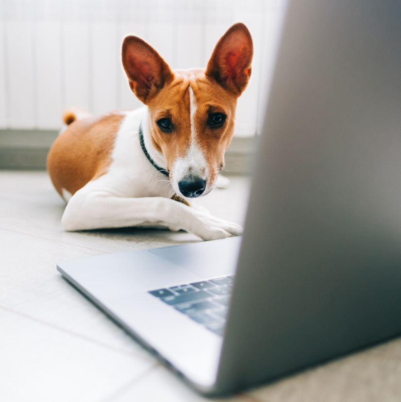 Startseite - Hotel DE